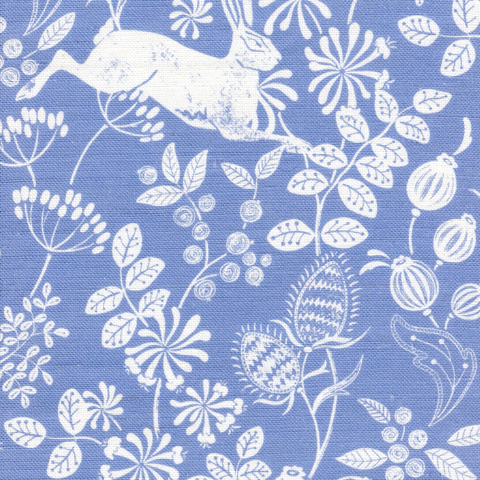 Blue - Meg Morton